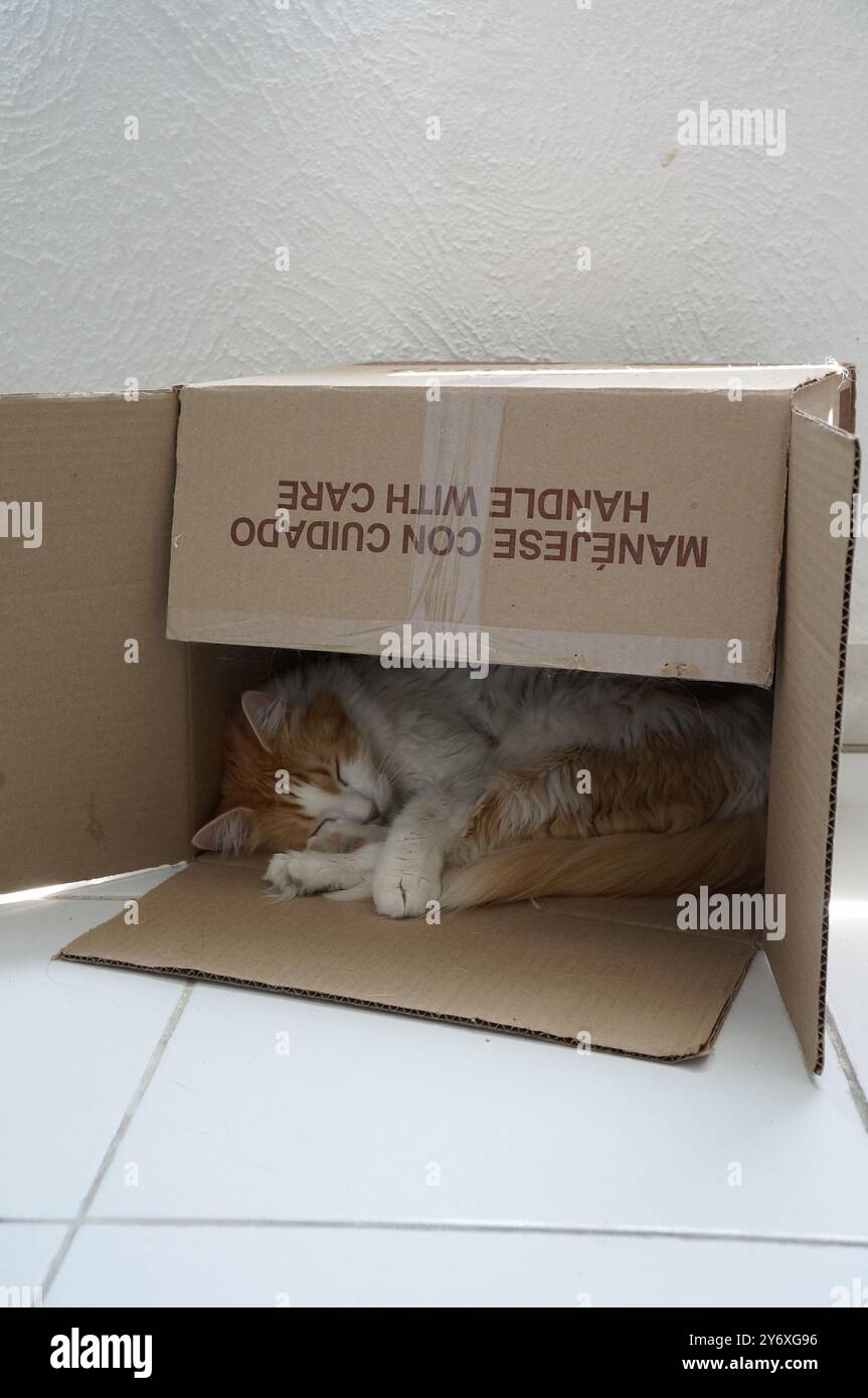 Nap box hi-res stock photography and images - Alamy