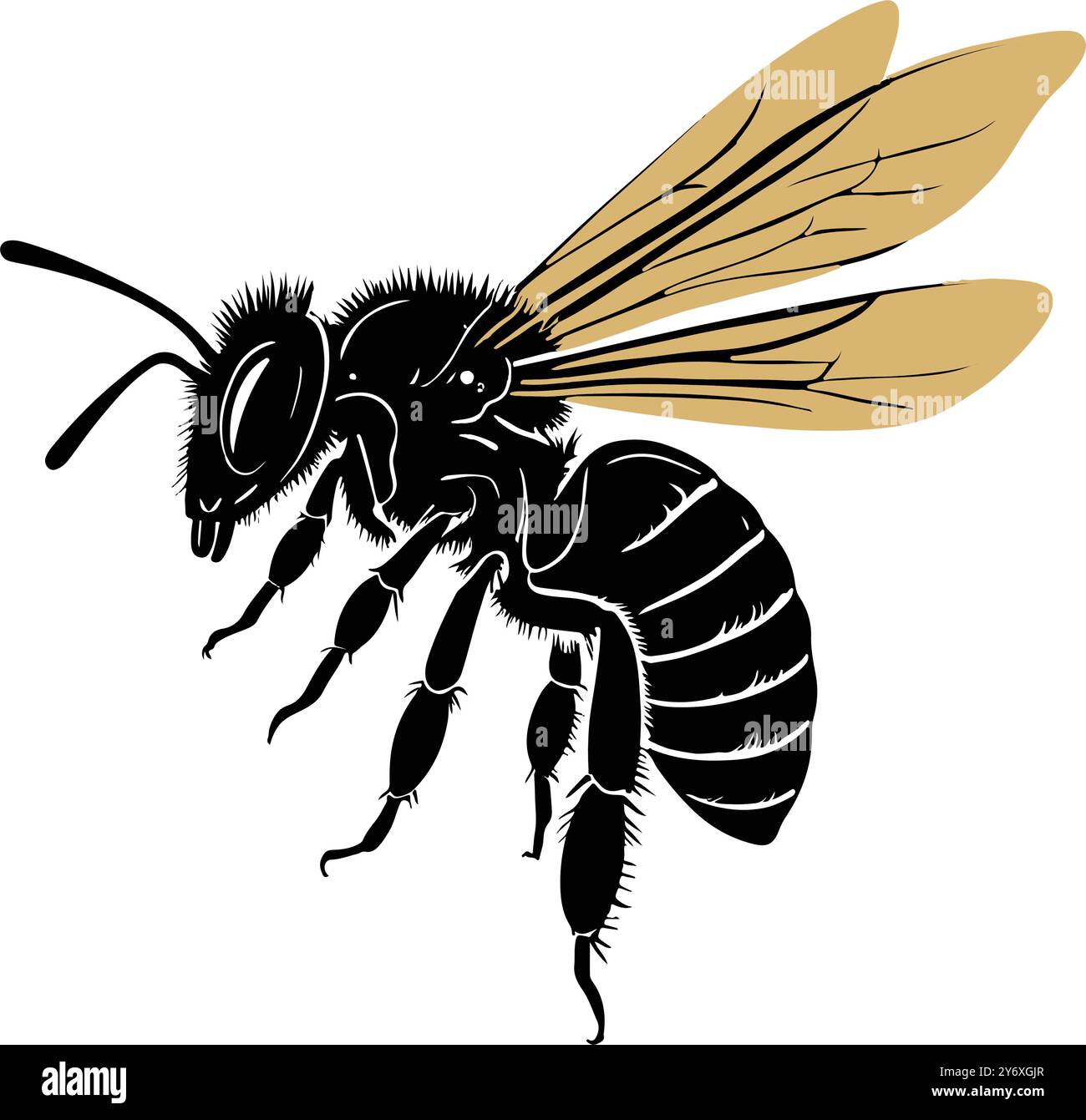 Silhouette bee Professional black and white logo, suitable for a icon ...