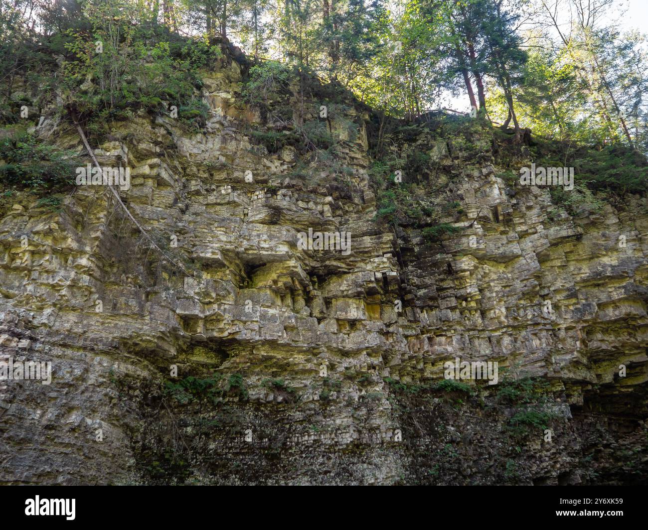 Detailed texture of layers and cracks in sedimentary rock formation ...