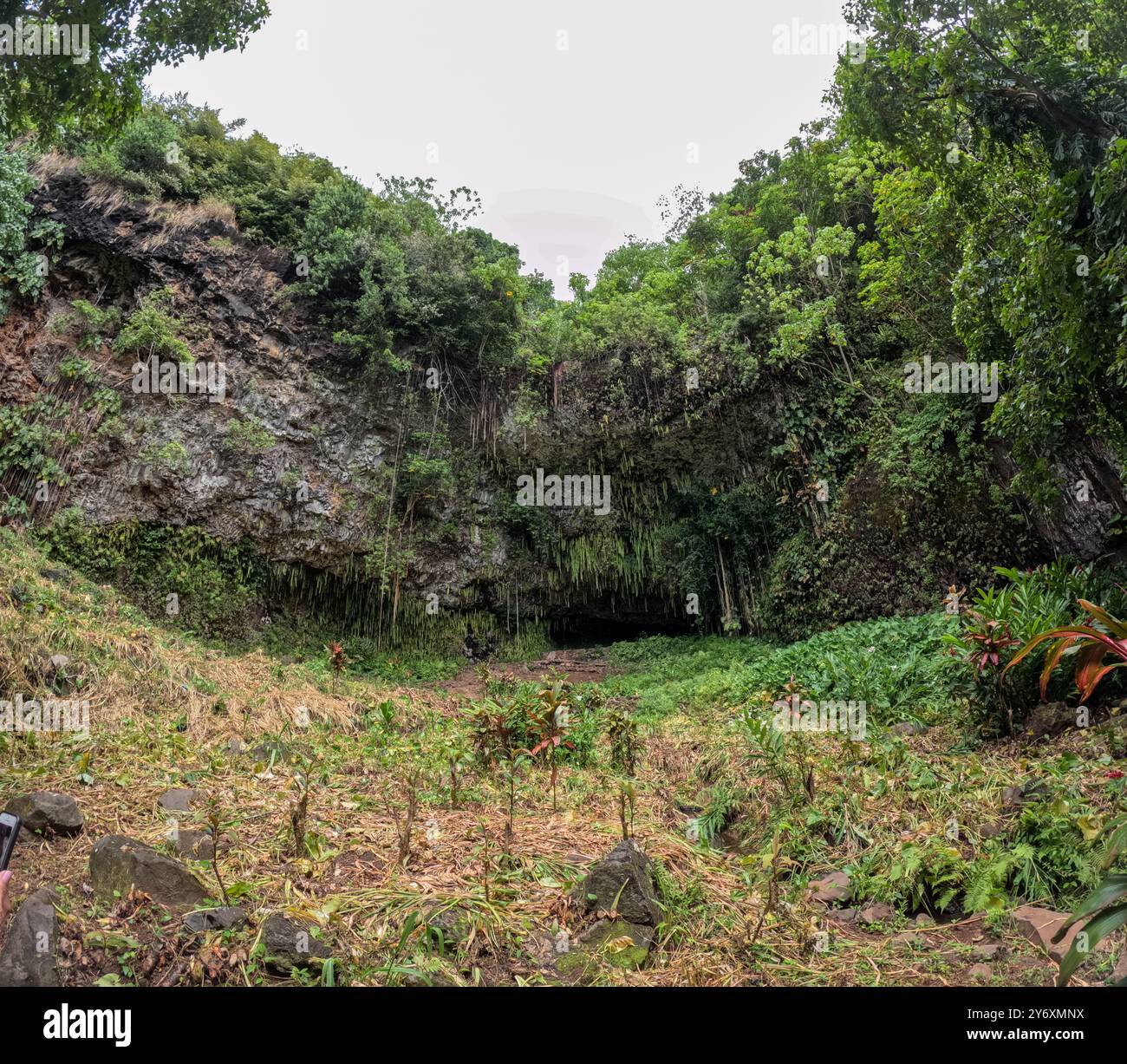 Cup421 hi-res stock photography and images - Alamy