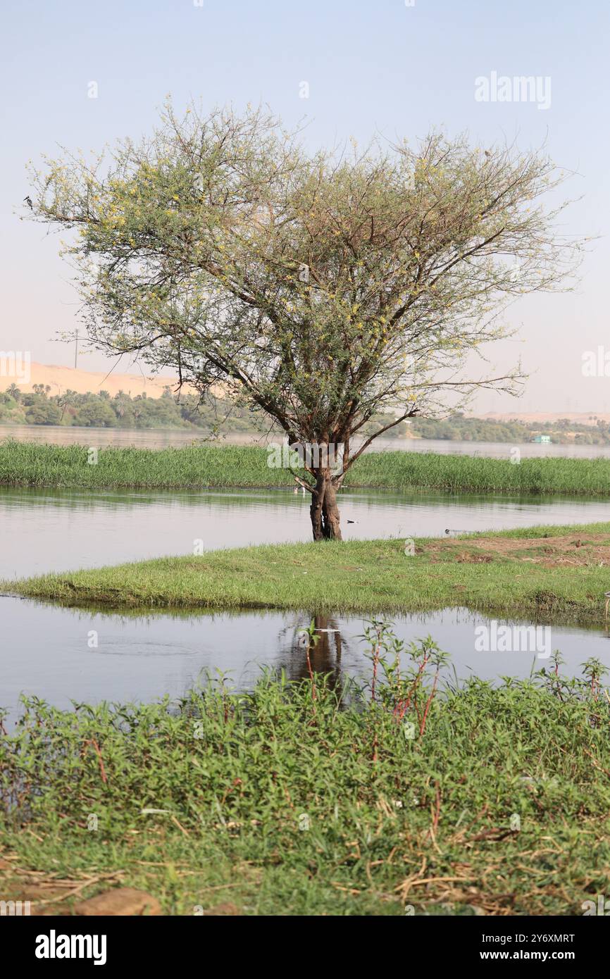 Landscape in egypt on hi-res stock photography and images - Alamy