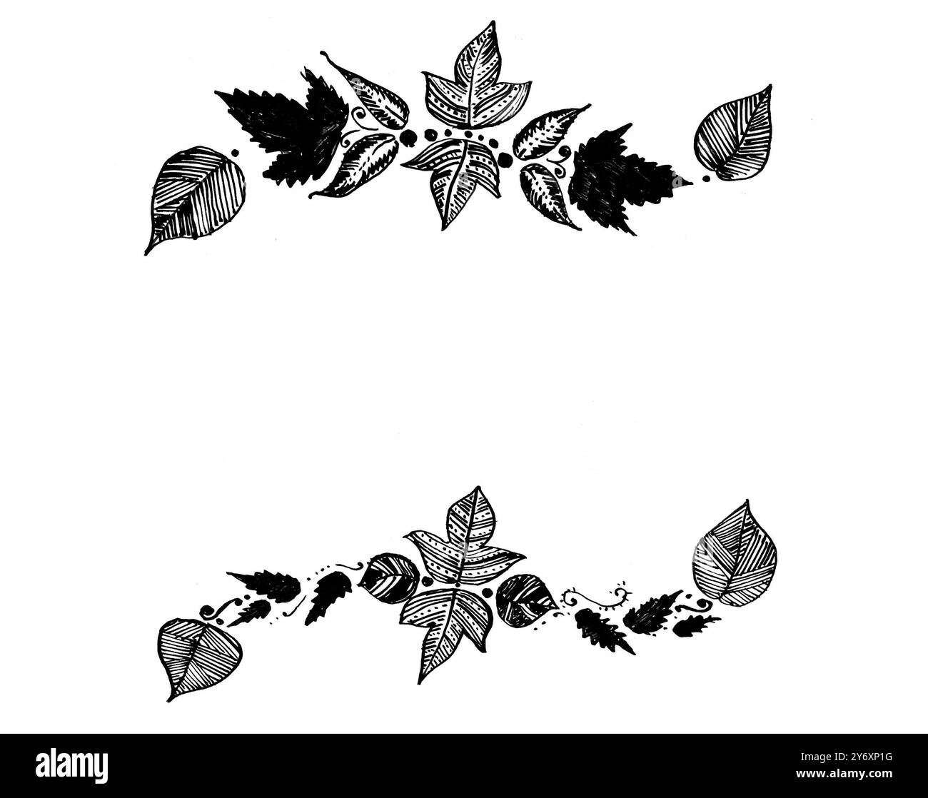 Frame, framing of leaves. White background and copy space. Leaves of ...