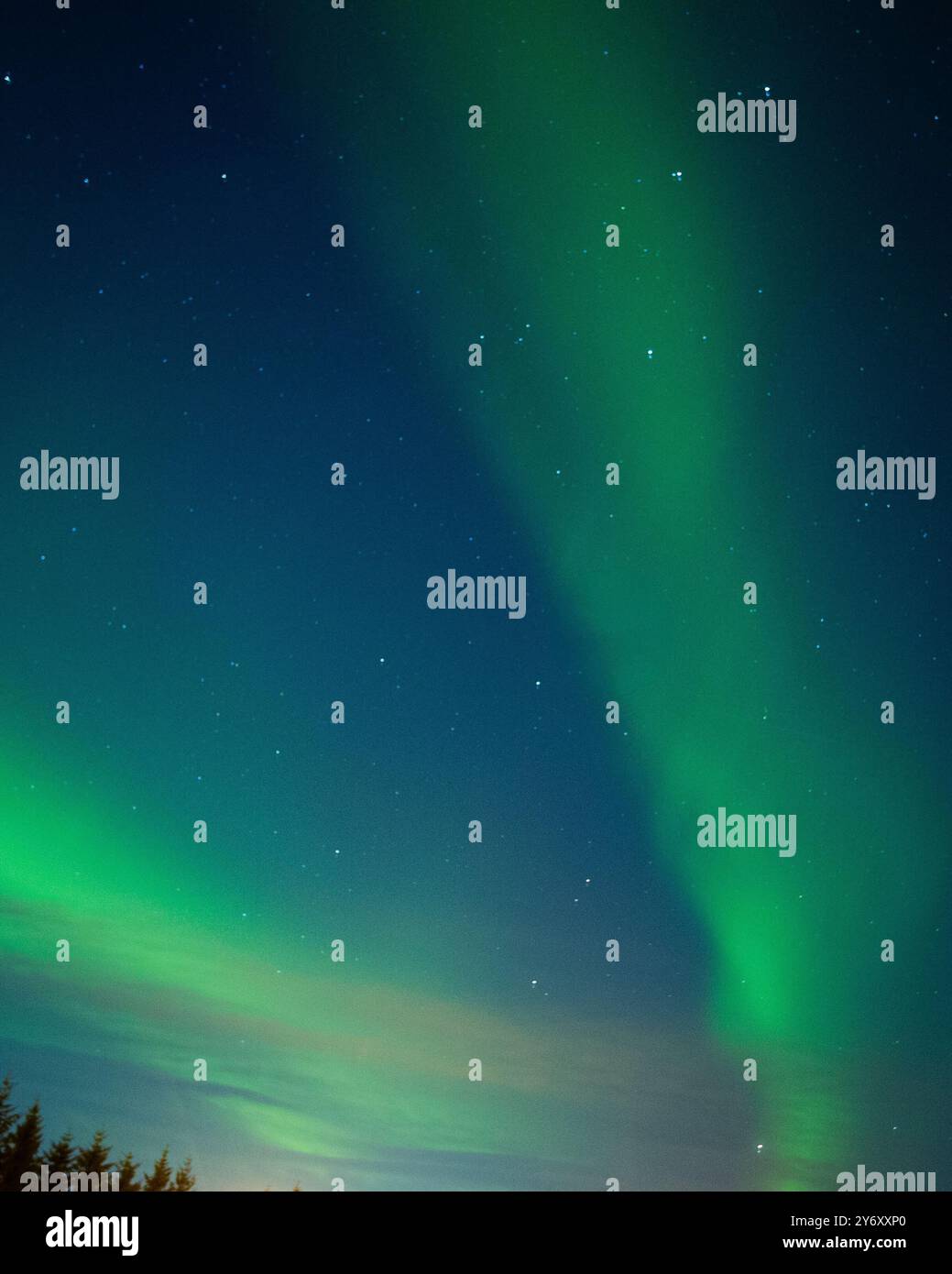 A mesmerizing view of the Northern Lights illuminating the night sky ...