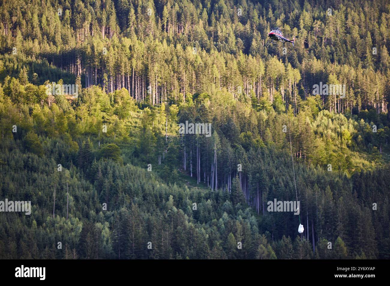 Helicopter rescue training simulation in a mountain range wood ...