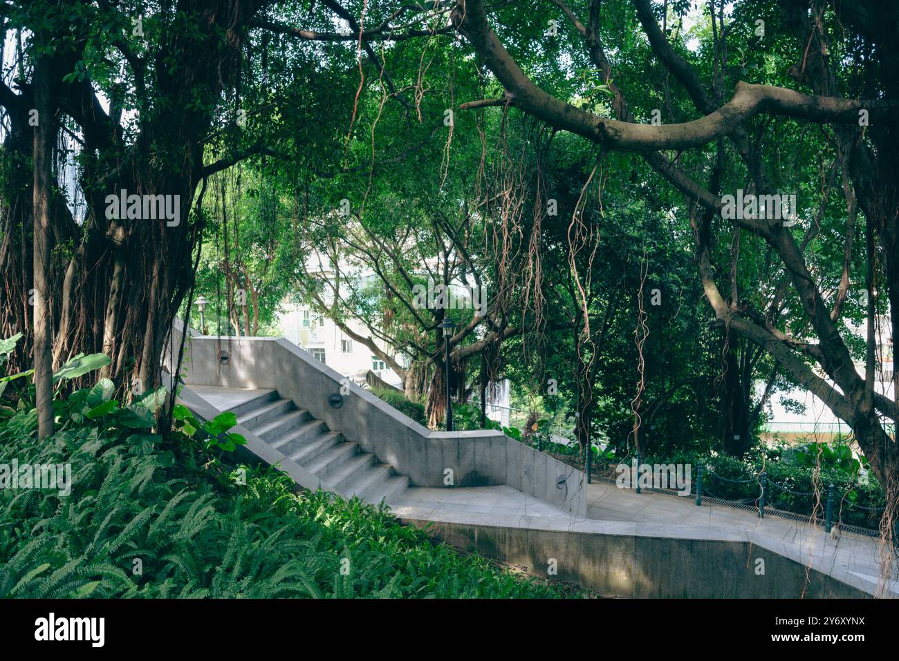 Mount Fortress forest park in Macau Stock Photo - Alamy
