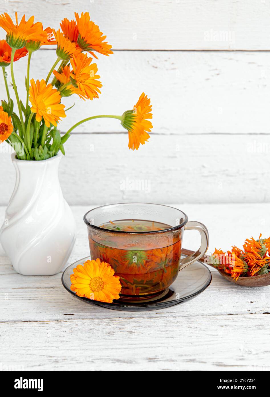 Side view of Calendula officinalis the pot marigold, ruddles, common ...
