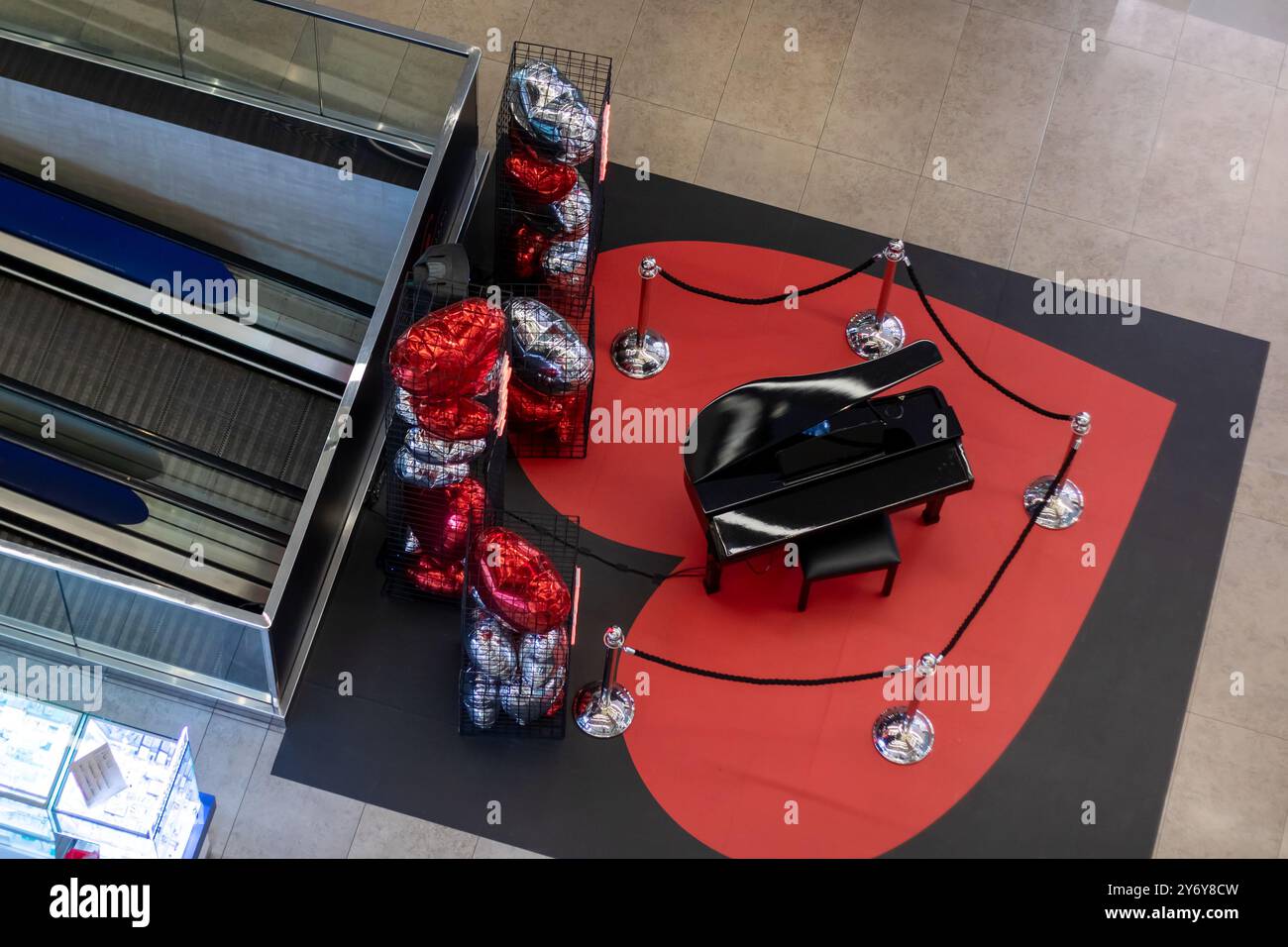 Imagine a stunning black piano beautifully surrounded by colorful ...