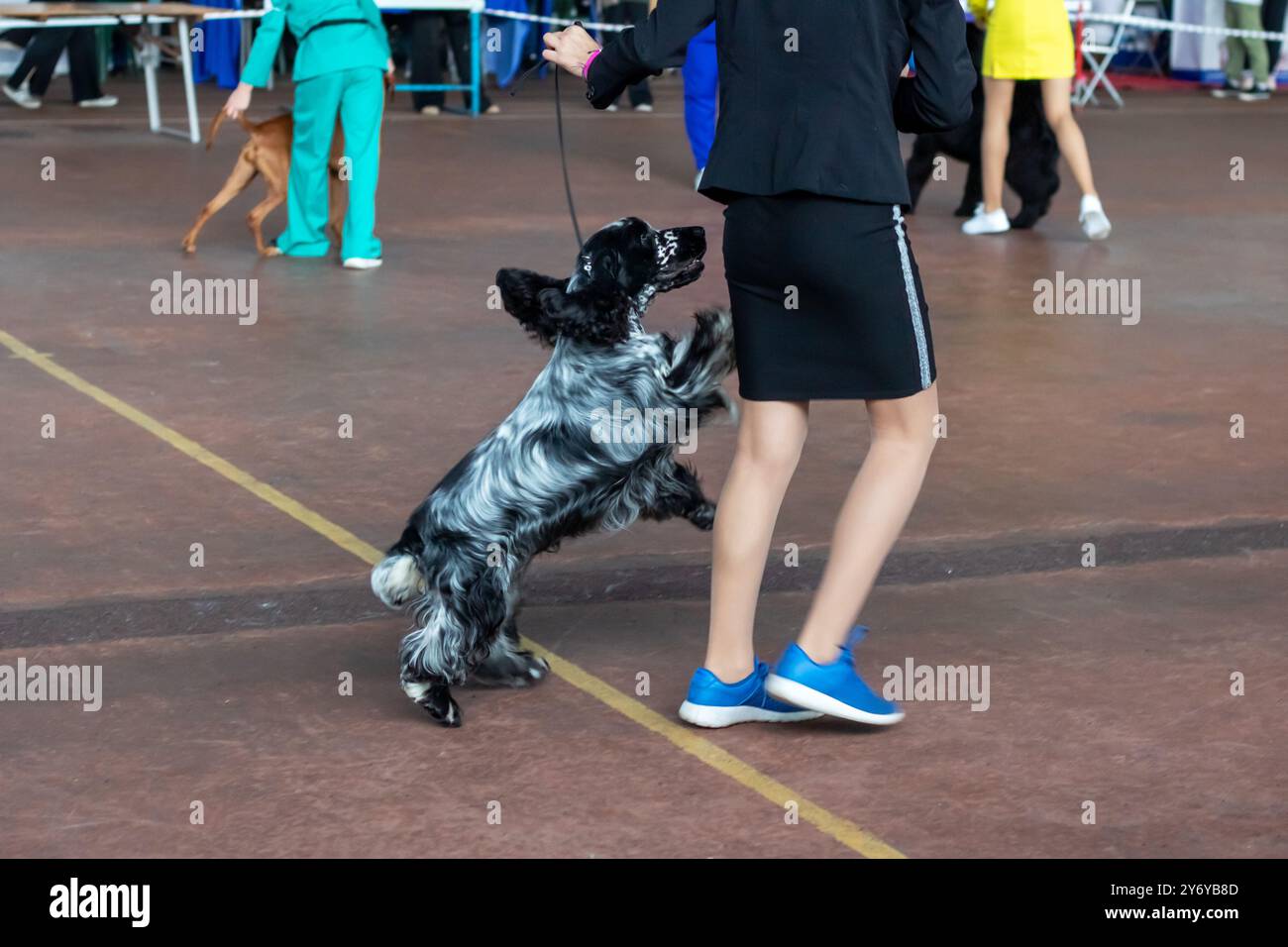 A woman is carefully holding a dog upright on its hind legs while ...
