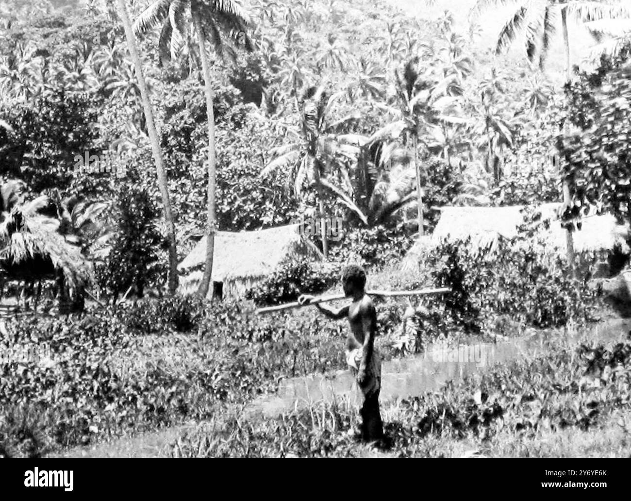 Fijian village in the Bush, Fiji, Victorian period Stock Photo - Alamy
