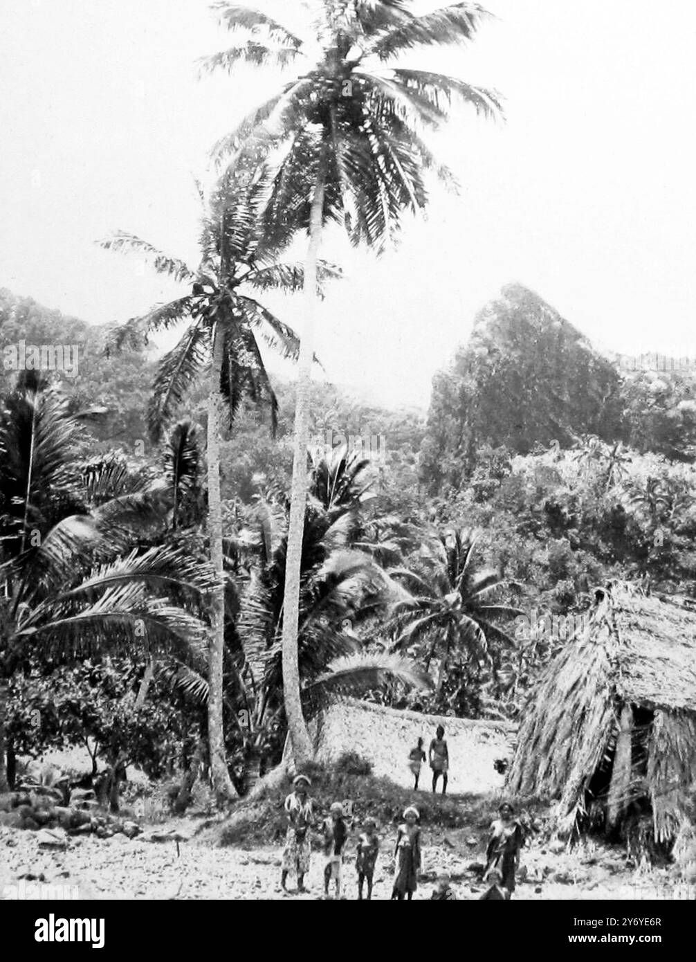 Fijian village, Fiji, Victorian period Stock Photo - Alamy