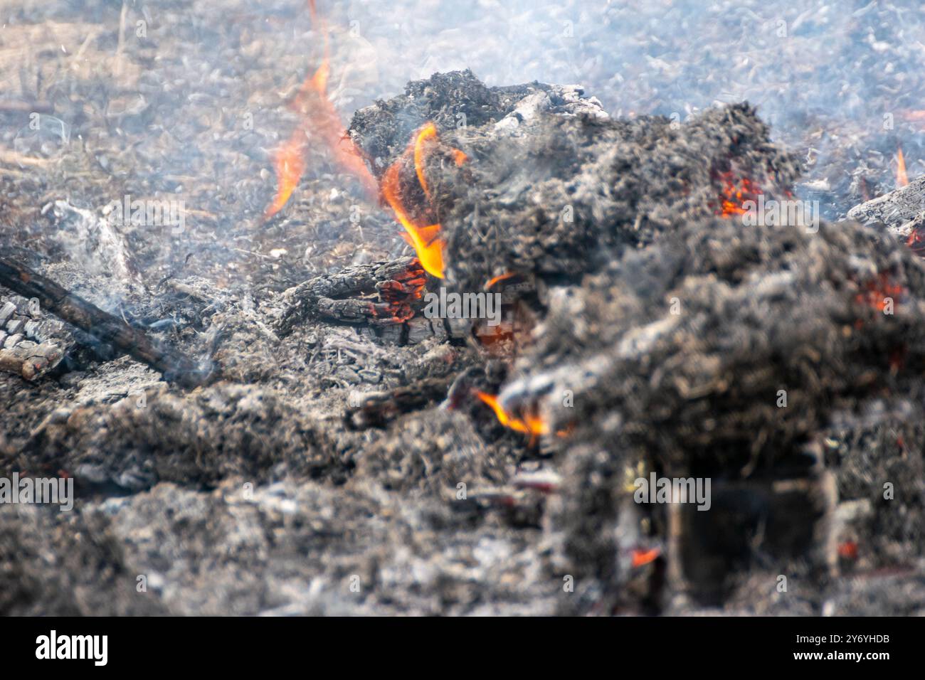 detail of the embers of a fire, wood burning generating embers Stock ...