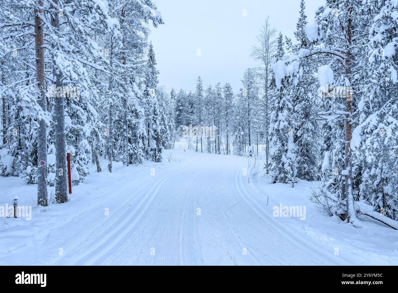 Nordic skiing and snowmobile trails at Levi ski resort in Finnish ...