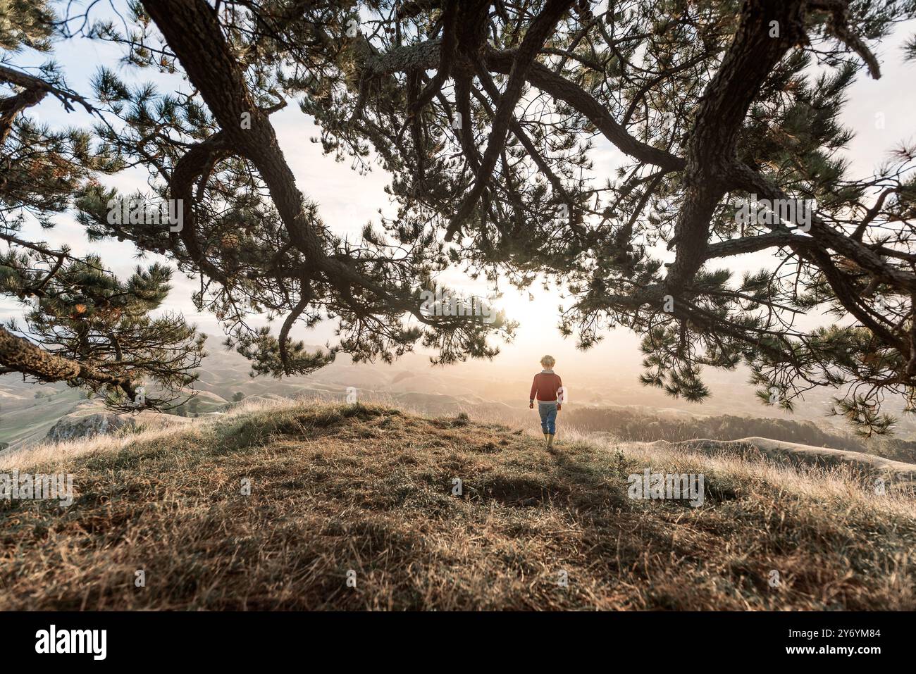Child standing under tree above view of rolling hills Stock Photo - Alamy