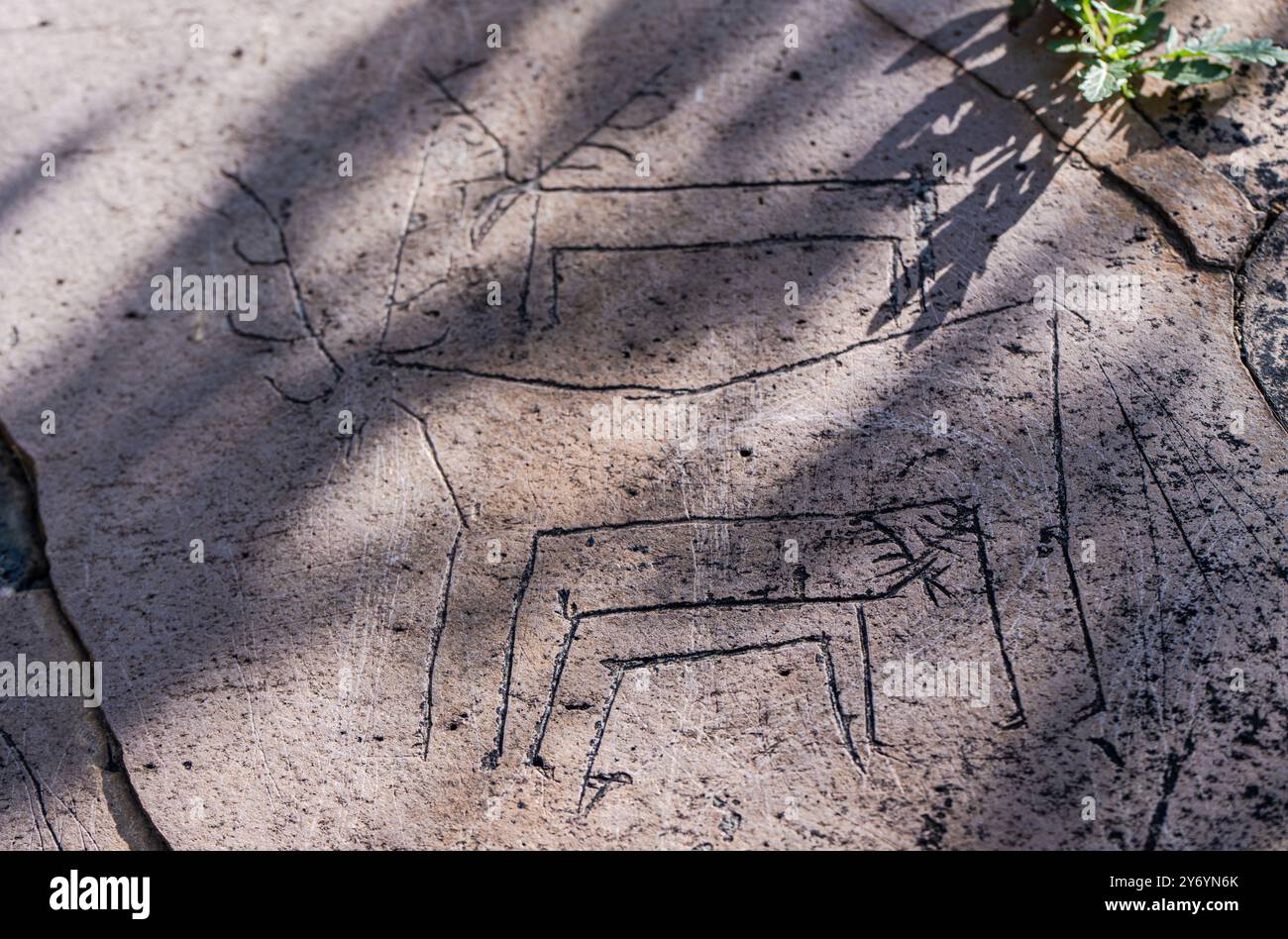 Ancient petroglyphs of Tsalka in Georgia Stock Photo - Alamy