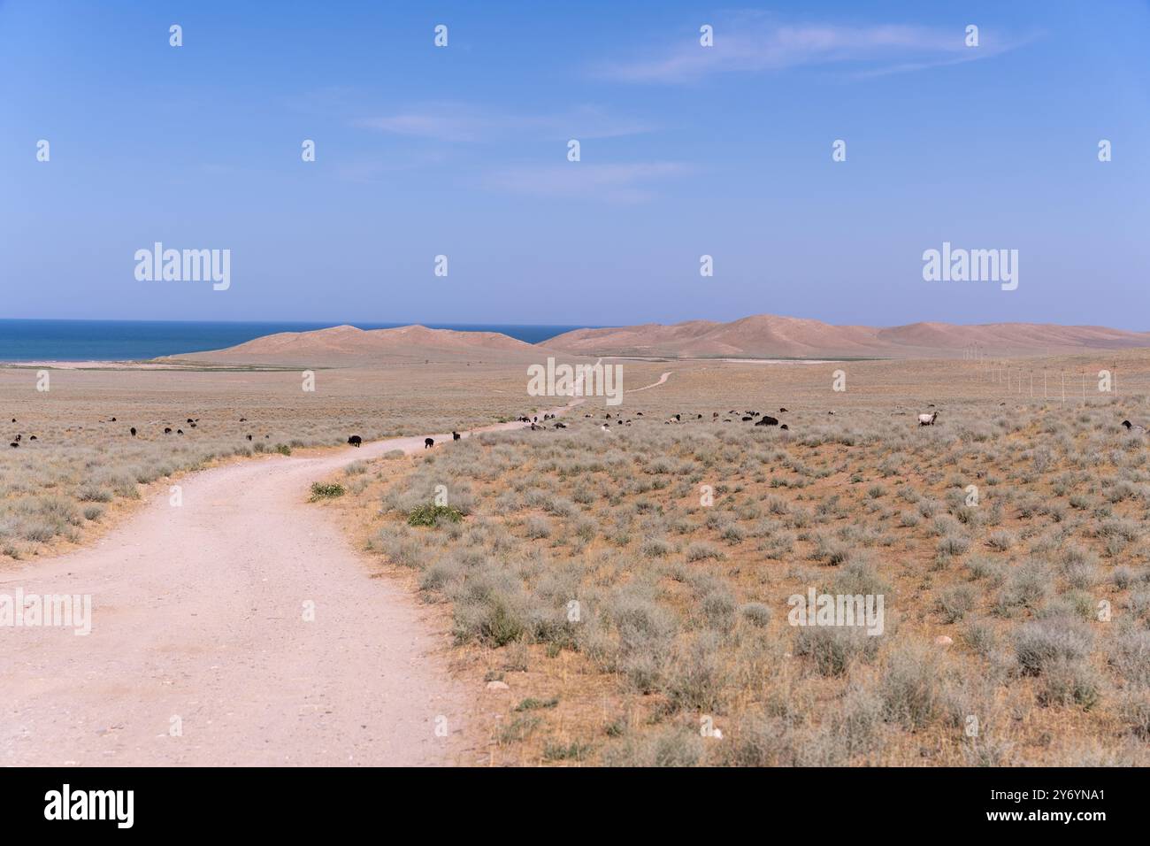 A road winds through a desert with a blue sky overhead Stock Photo - Alamy