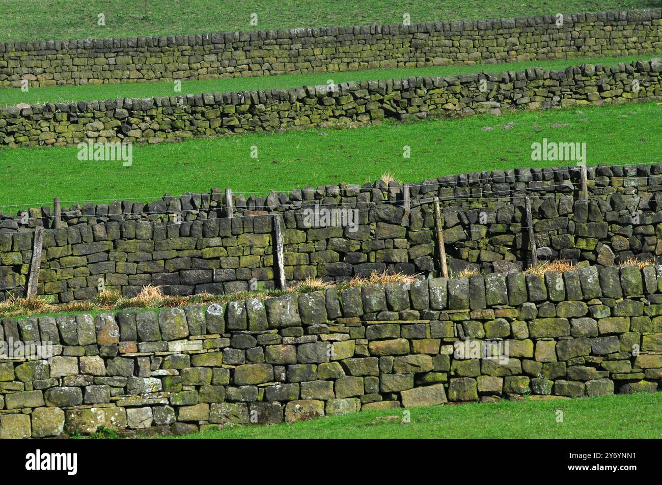 natural stone build dry stone wall, Yorkshire, England Stock Photo - Alamy