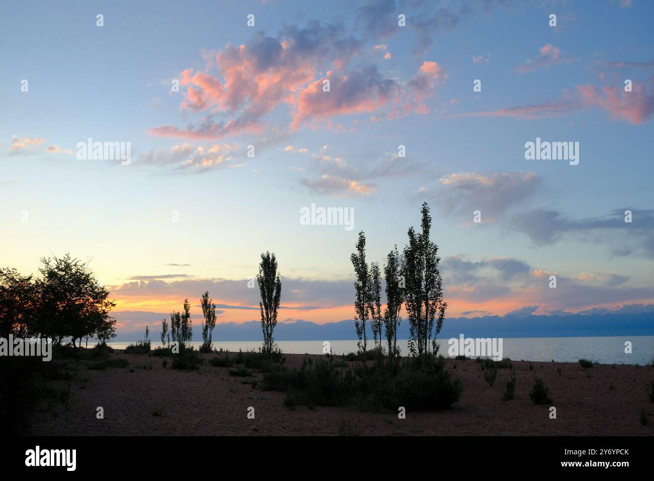 Stunning sunset landscape with poplar trees on lake issyk-kul Stock ...