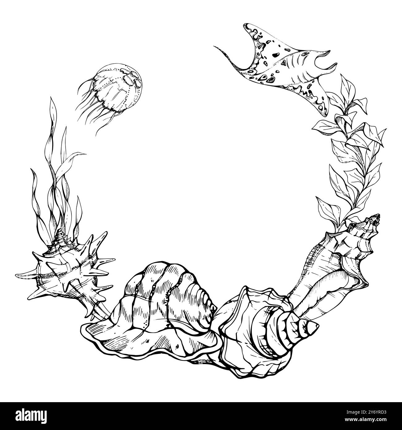 Marine life, sea ocean underwater creatures fish, shells algae seaweed ...