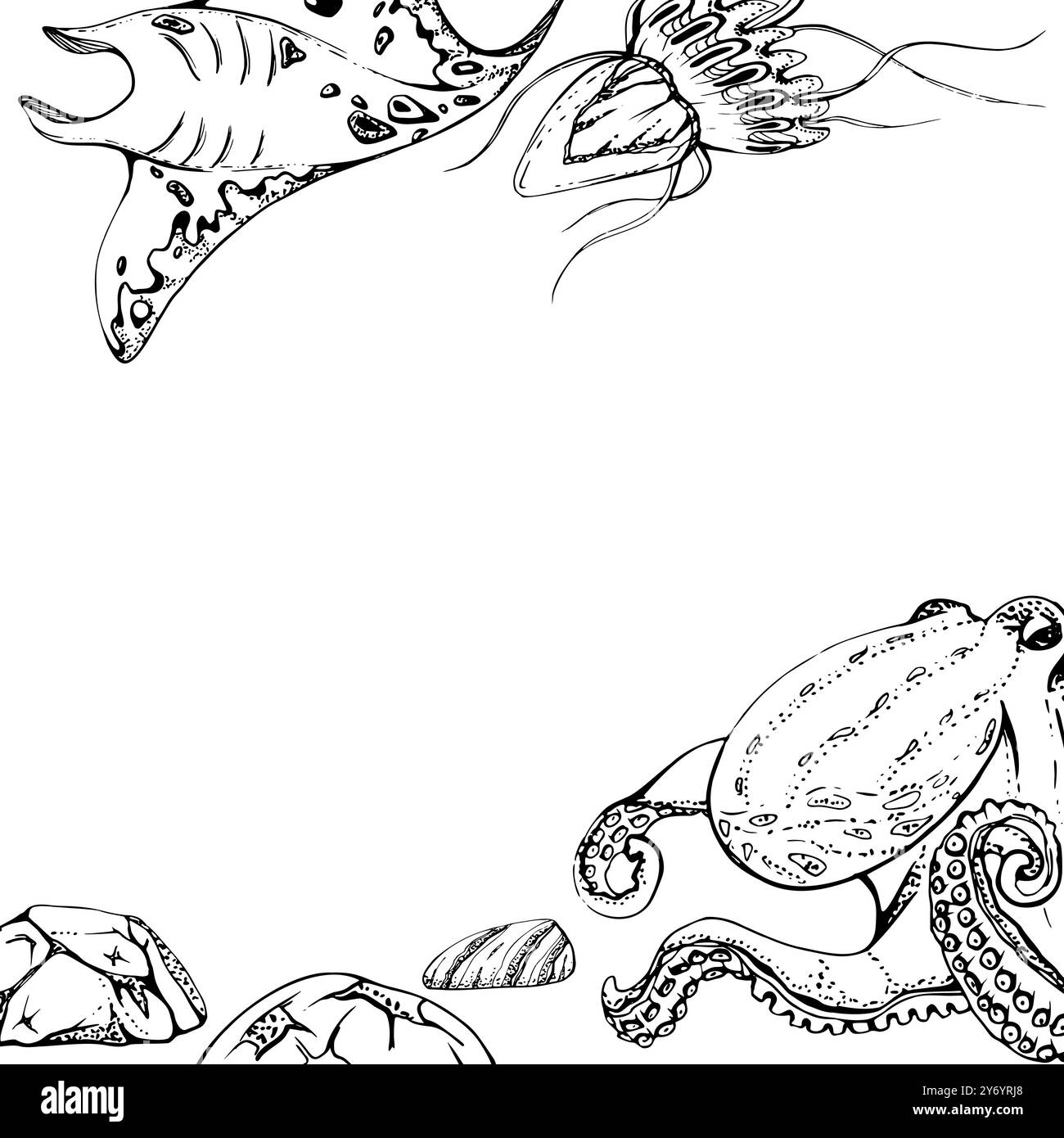 Manta ray jellyfish octopus Marine life, sea ocean underwater creatures ...