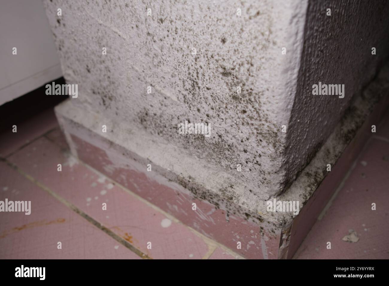 Damp mold stained wall hi-res stock photography and images - Alamy