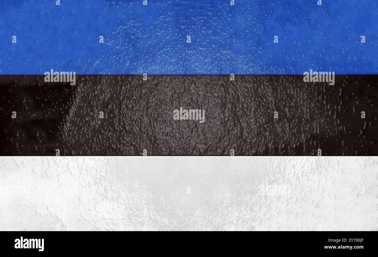 Estonian Flag Wallpaper