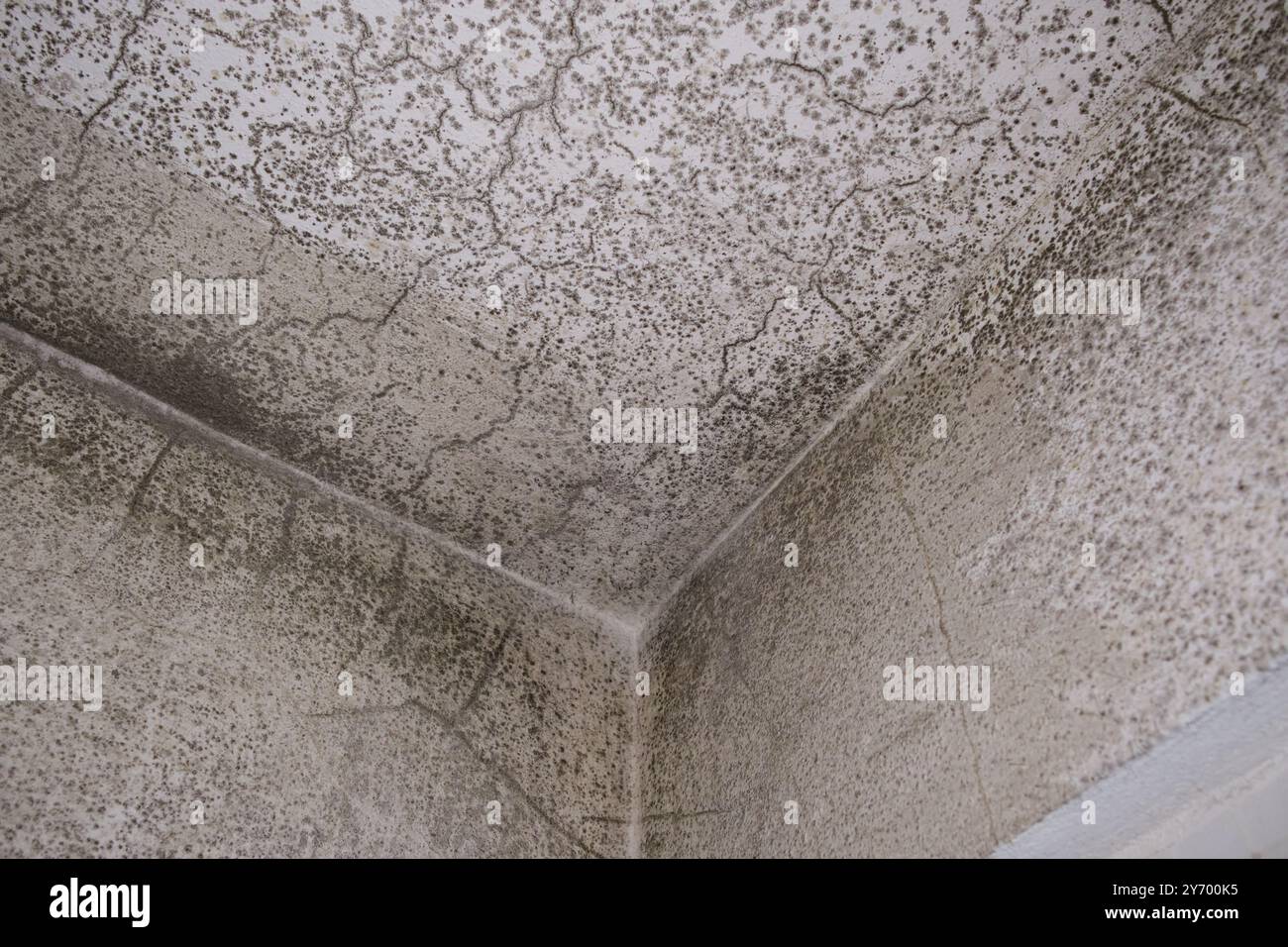 Old damp run down hi-res stock photography and images - Alamy
