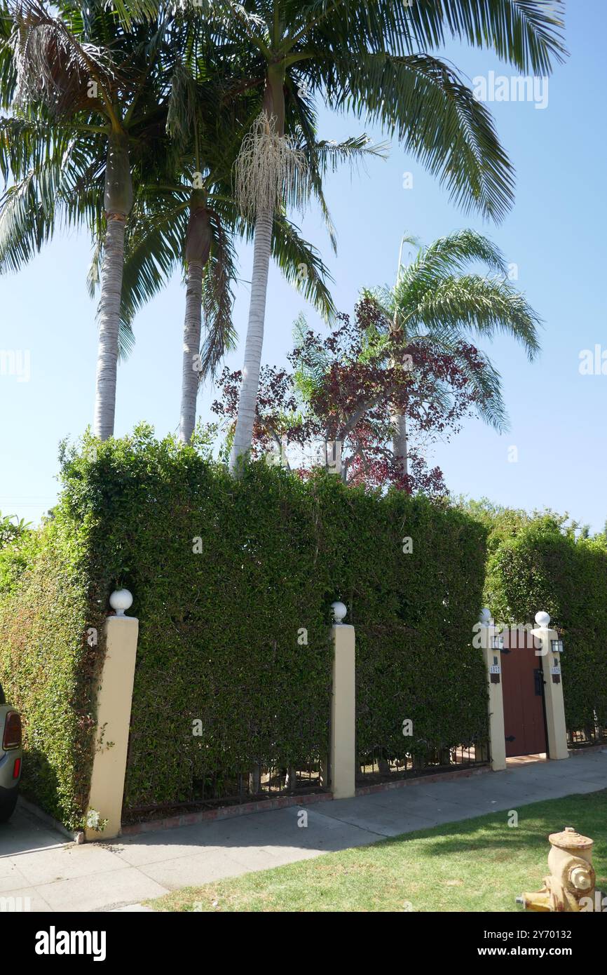 Virginia stark hi-res stock photography and images - Alamy