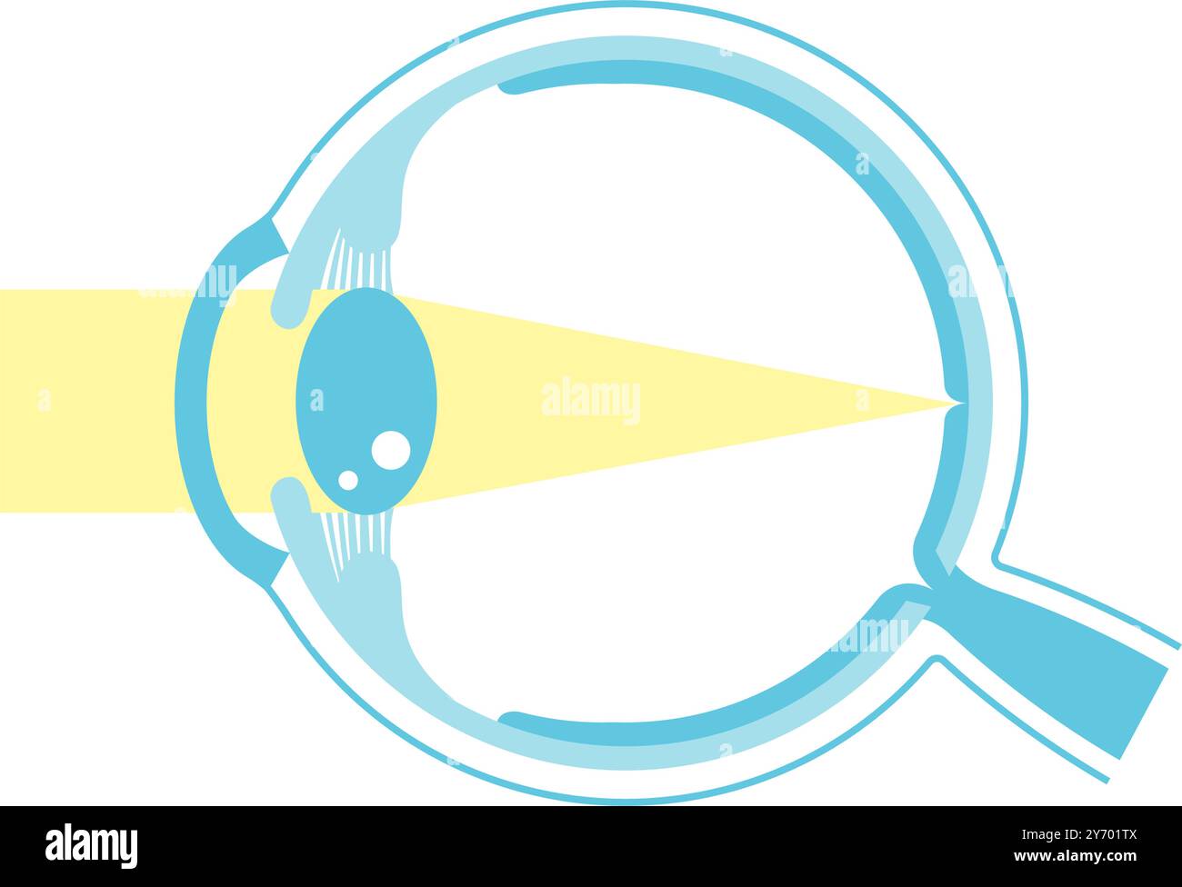 Vector illustration of normal vision (no text Stock Vector Image & Art ...