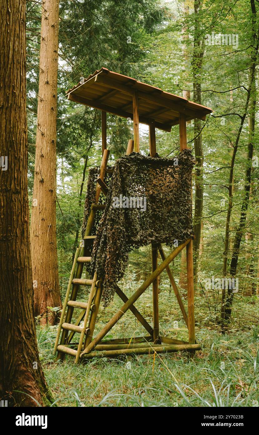 Wooden wildlife observation watch tower or deer stand in a forest in ...