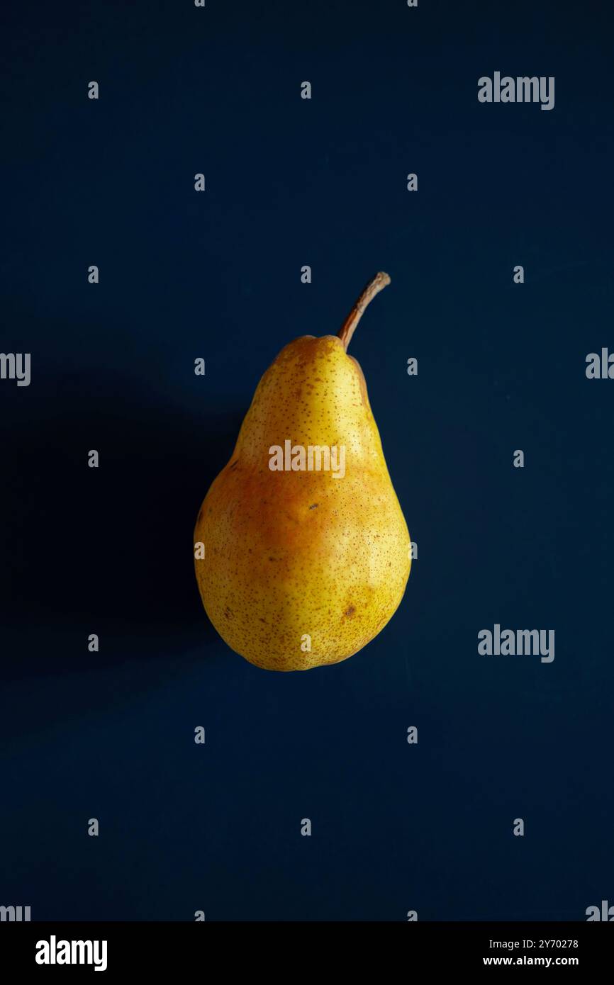 Single whole ripe yellow pear with stem, isolated on dark blue ...