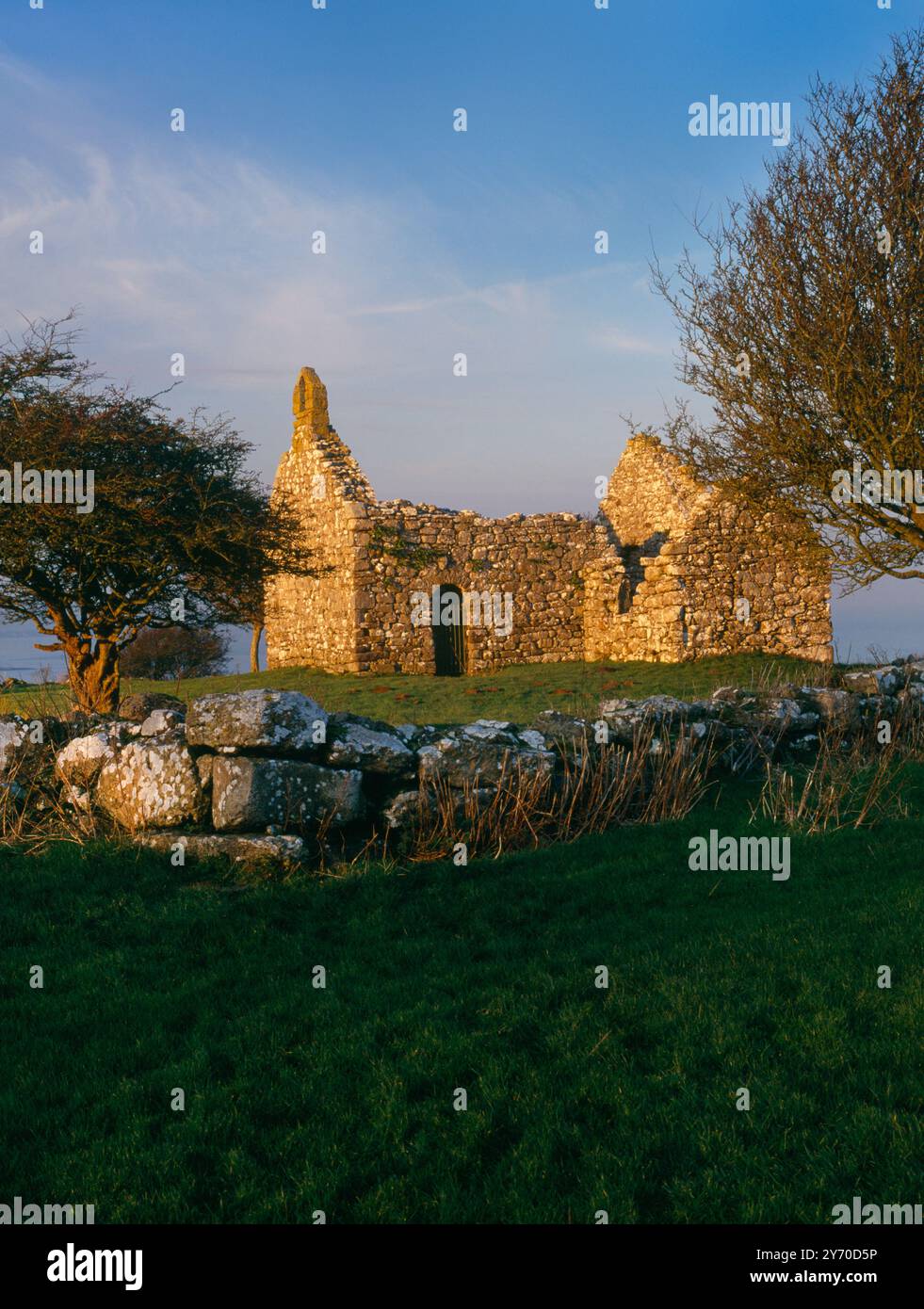 Pierce lloyd family hi-res stock photography and images - Alamy