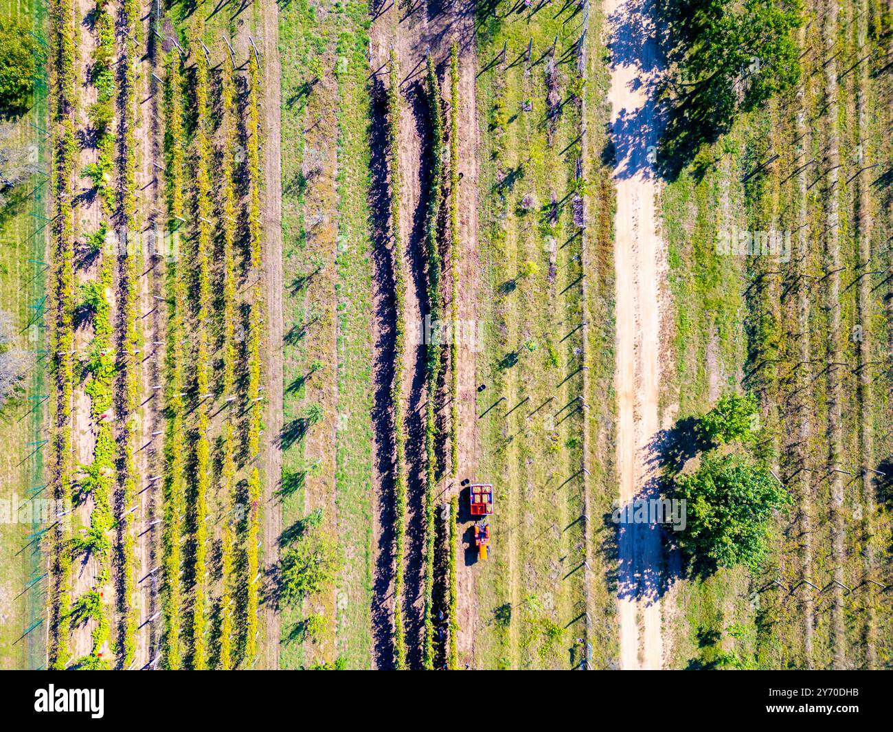Shot heavy rain strong winds hi-res stock photography and images - Alamy