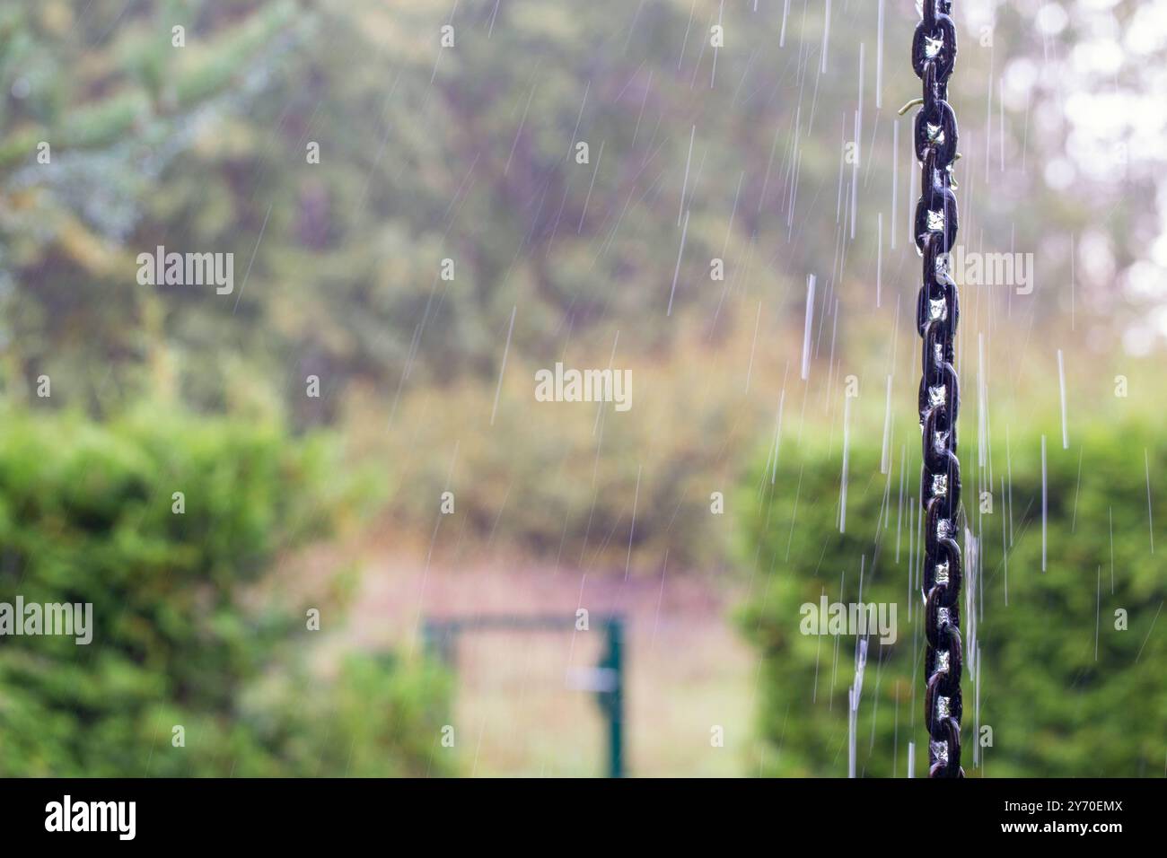 Rain chain with raindrops on autumn patio background, fall season ...