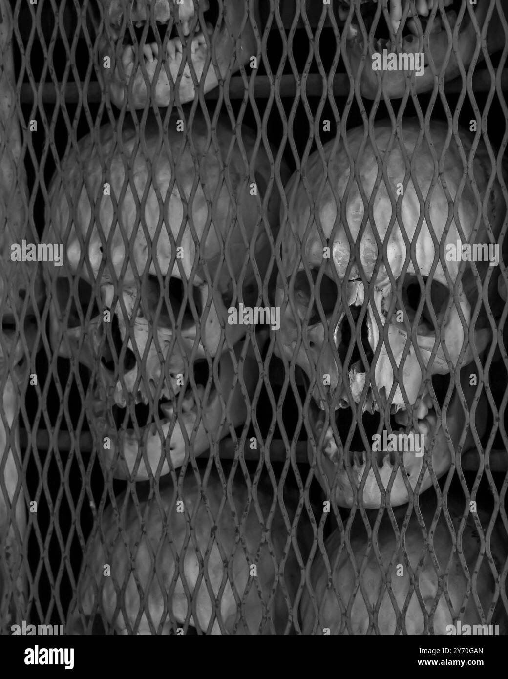 The anatomy of the bones Black and White Stock Photos & Images - Alamy