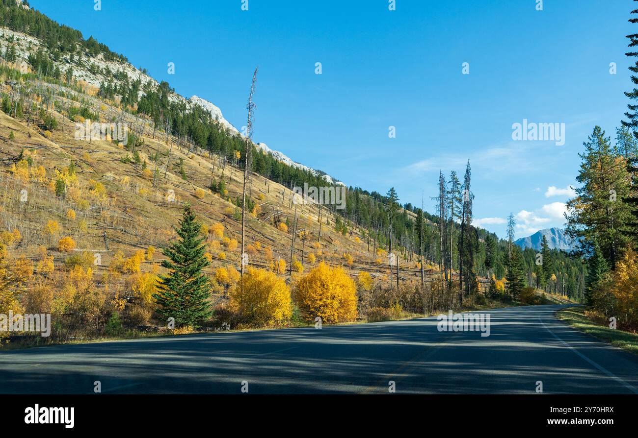 Scenic country mountain road in autumn color forest against blue sky ...