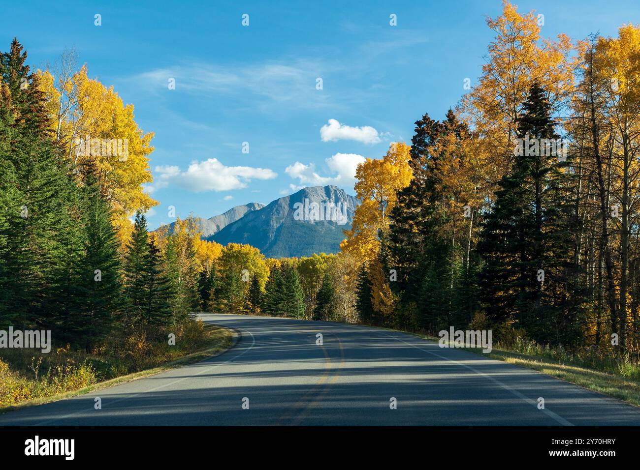 Scenic country mountain road in autumn color forest against blue sky ...