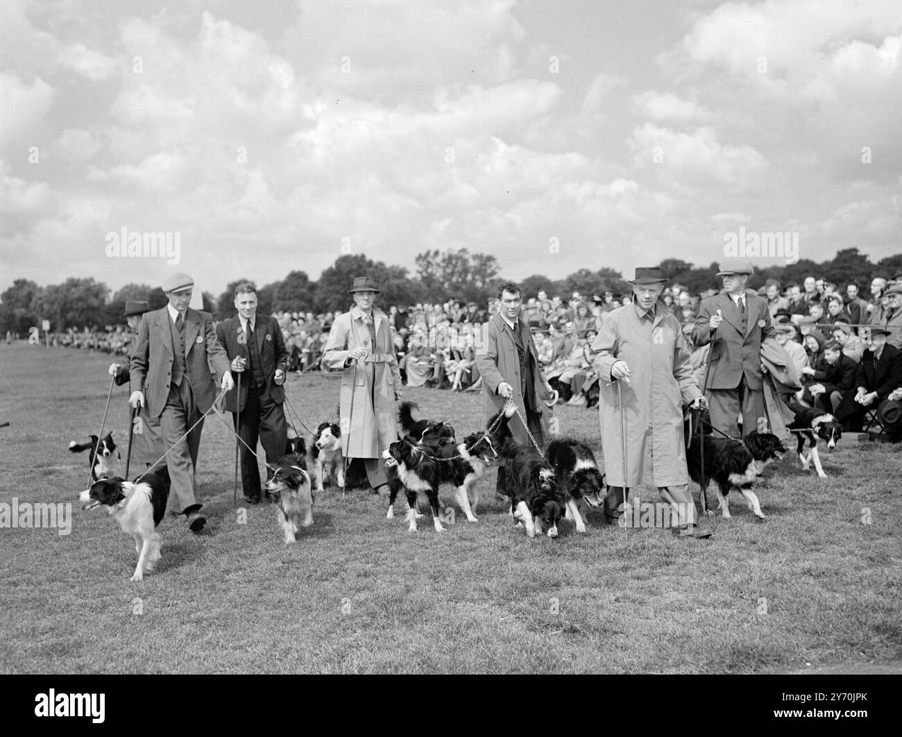 IN TOWN FOR THE TRIALS The International Sheep Dog Trials, one of the ...