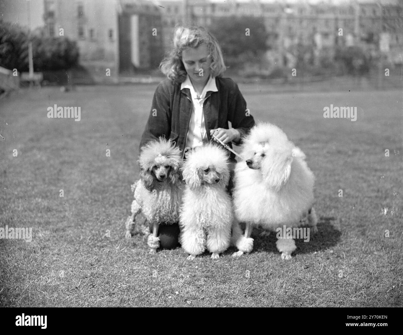DIFFERENCE IS IN THE CUT Three leaders of Canine fashion who agree to ...