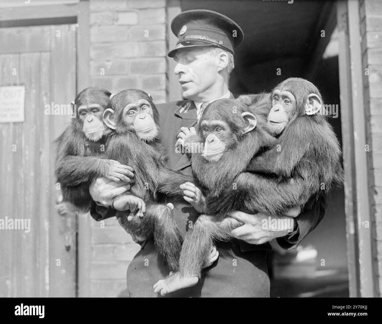 UP IN ARMS Man with an all - embracing job is Head Keeper L.G. SMITH of ...