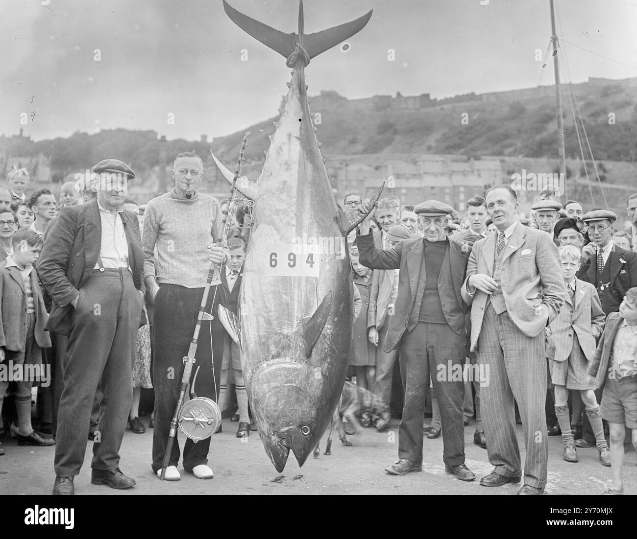 FIRST TUNNY OF THE YEAR The first tunny fish(tuna) , weighing 649 Lbs ...