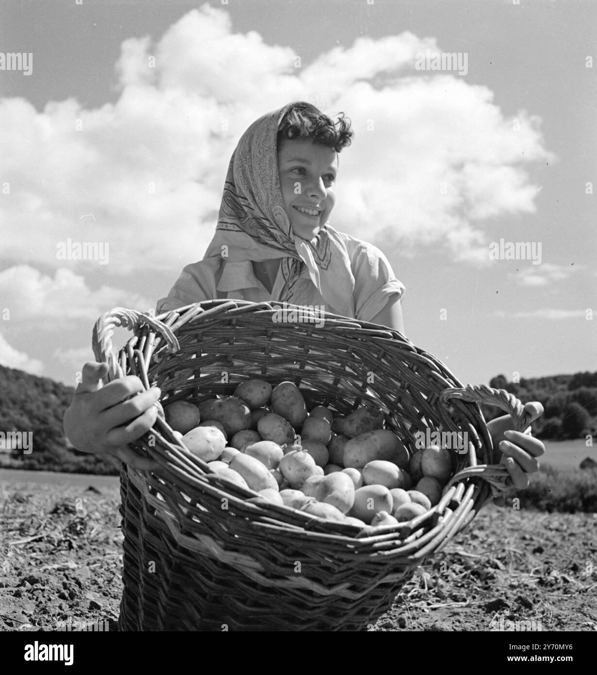 ' PEASANT ' FROM THE BIG CITY The brightly patterned headscarf and ...