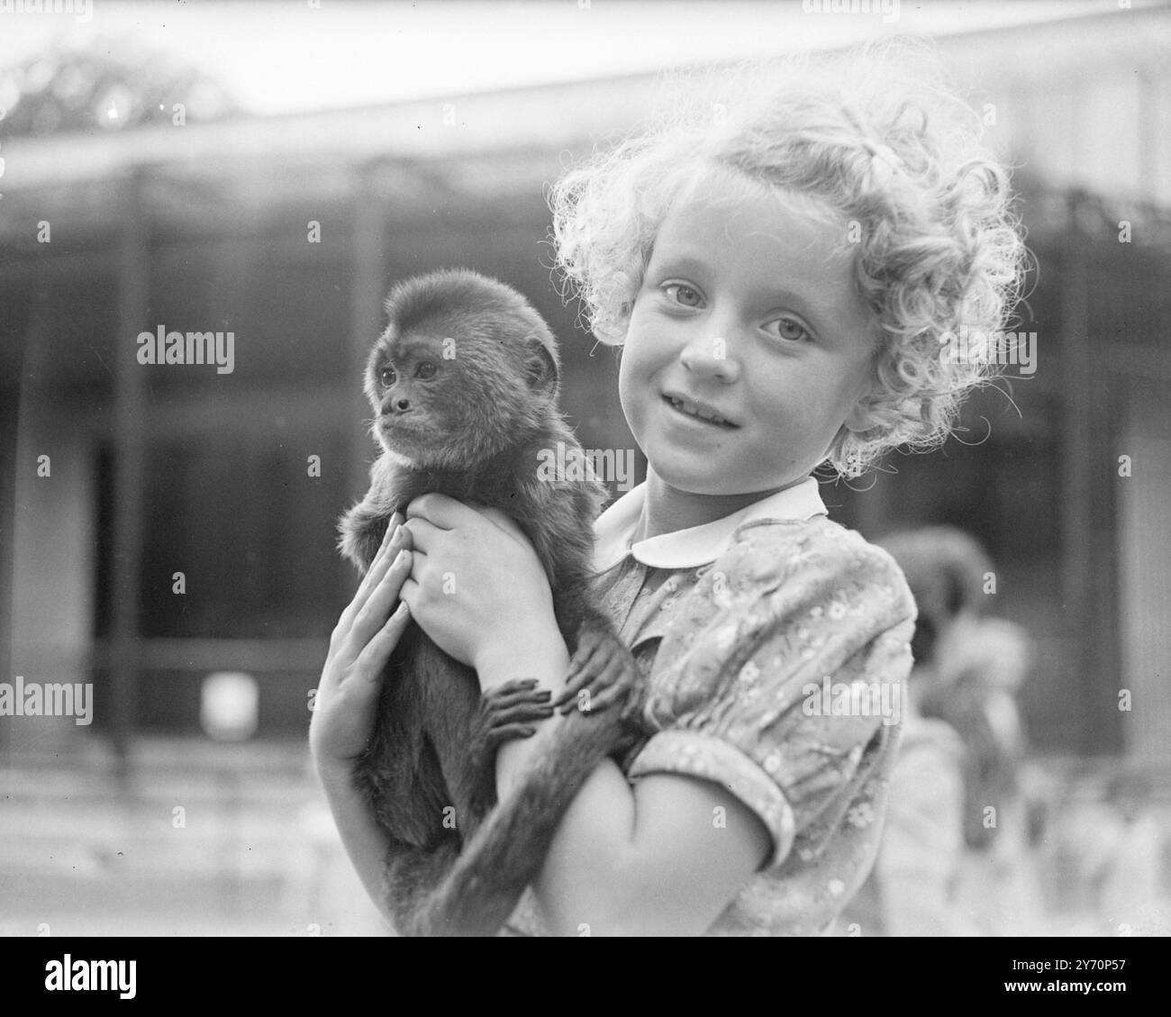 HE'S CHUMMY The name of this Weeper Capuchin Monkey which has just ...