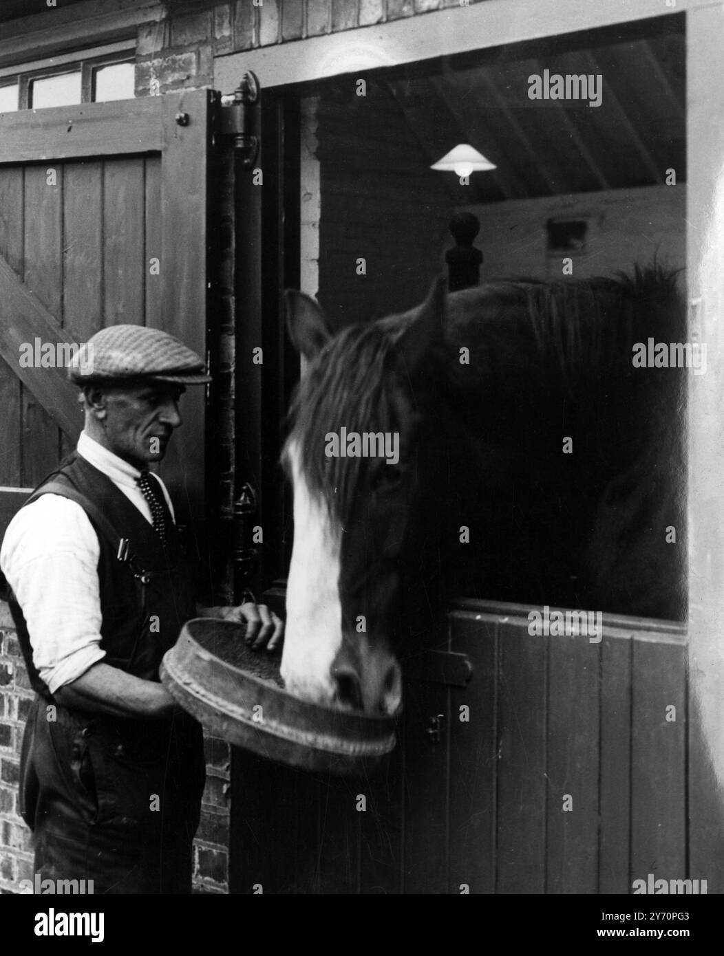 Man horse stable Black and White Stock Photos & Images - Alamy