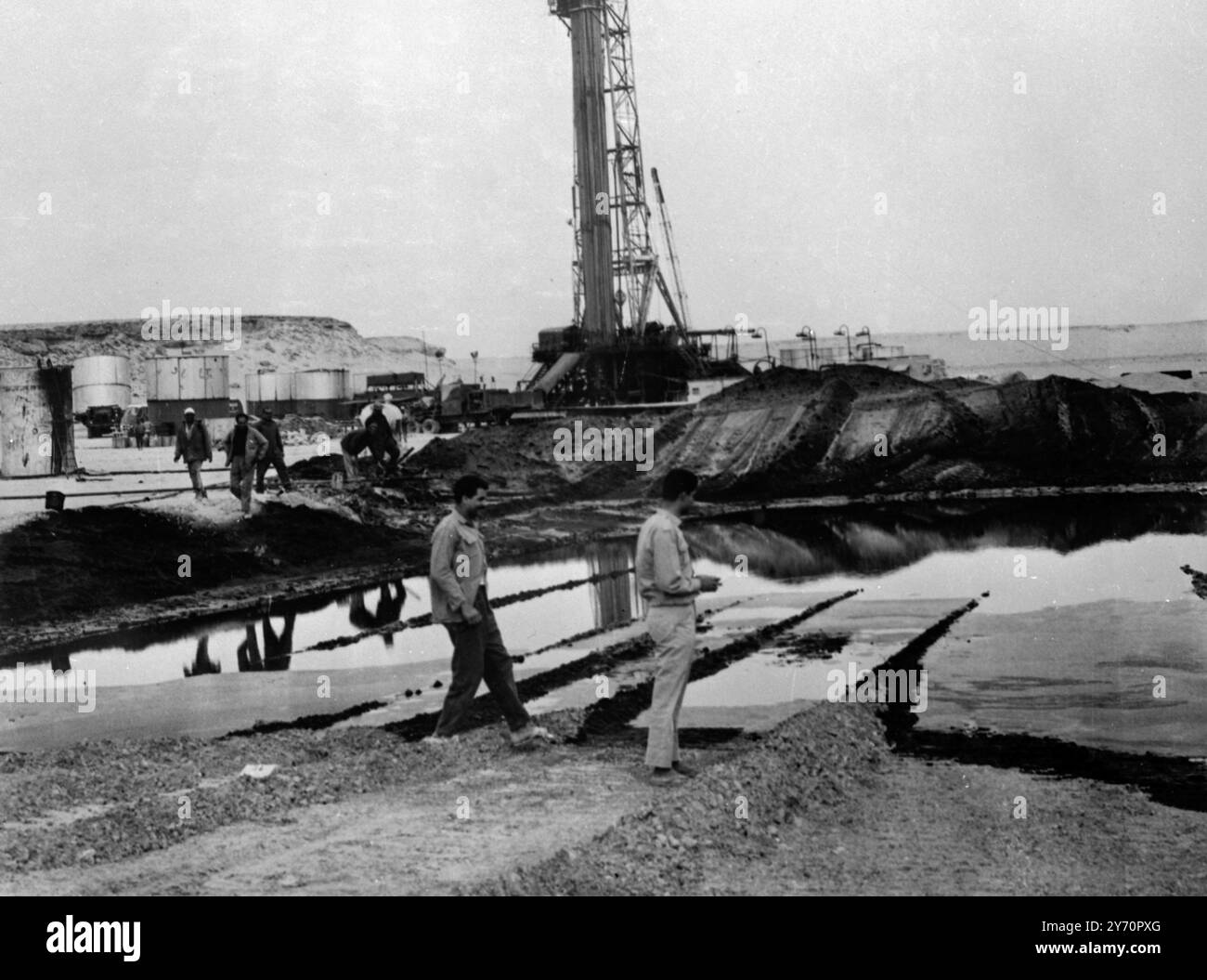 Alexandria, U A R - Oil has been found in the Western Desert. Phillips ...