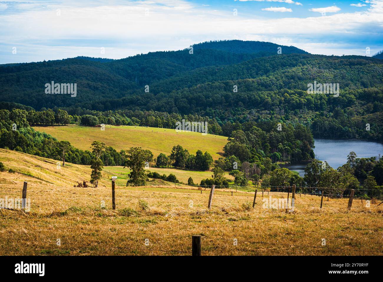 Neerim east hi-res stock photography and images - Alamy