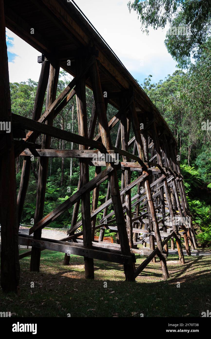 Low angle view of Noojee Trestle Bridge, Noojee, Victoria, Australia ...