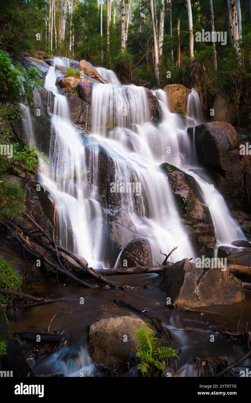 Long exposure of Toorongo Falls, Noojee, Victoria, Australia Stock ...