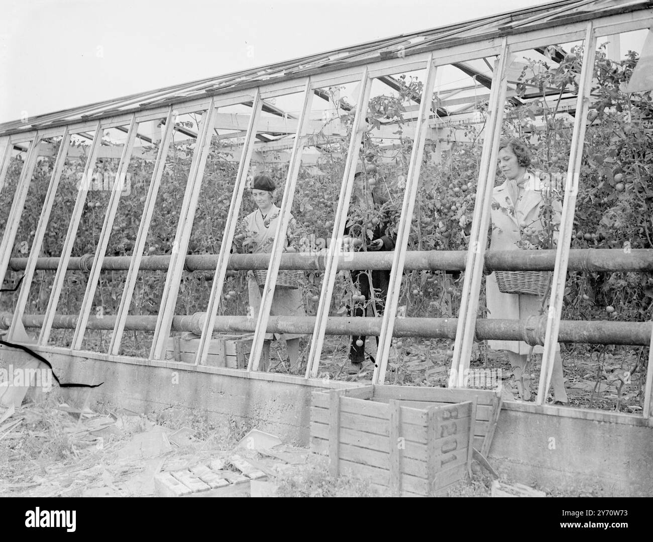 Bomb Damage - Gravesend 1940 Stock Photo - Alamy