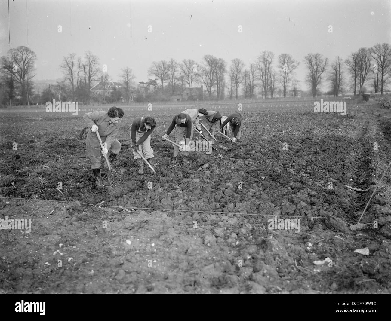 Manure soil Black and White Stock Photos & Images - Alamy