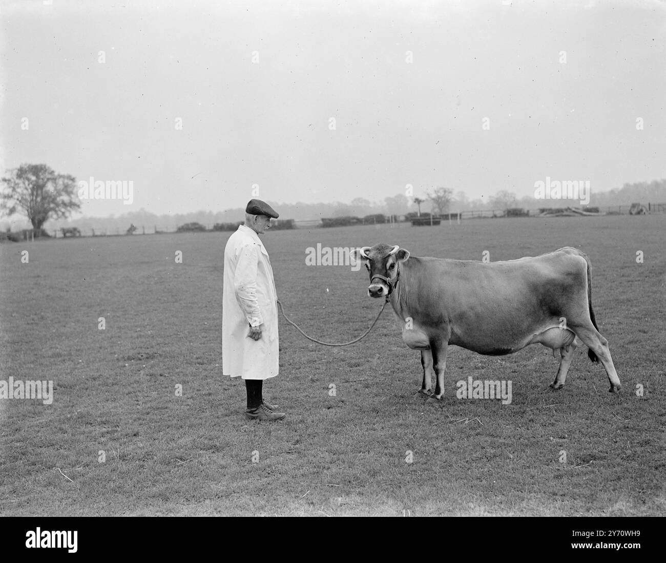 Jersey ww2 Black and White Stock Photos & Images - Alamy